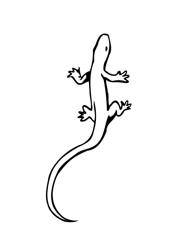 Free Printable Lizard Coloring Pages For Kids - ClipArt Best - ClipArt Best