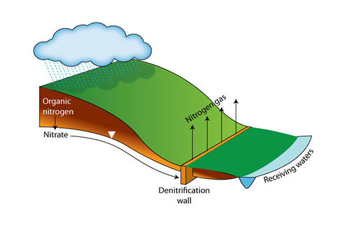 Denitrification wall diagram | Sciencelearn Hub - ClipArt Best ...