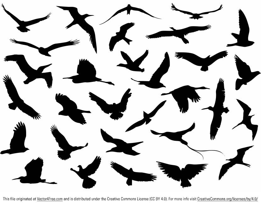 BIRD VECTORS - ClipArt Best