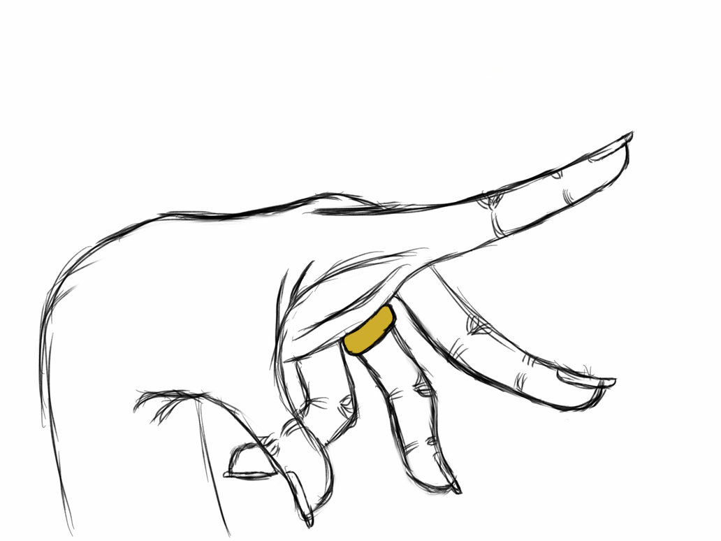 Hand Sketch w/ Ring by DR4GONS on DeviantArt - ClipArt Best - ClipArt Best