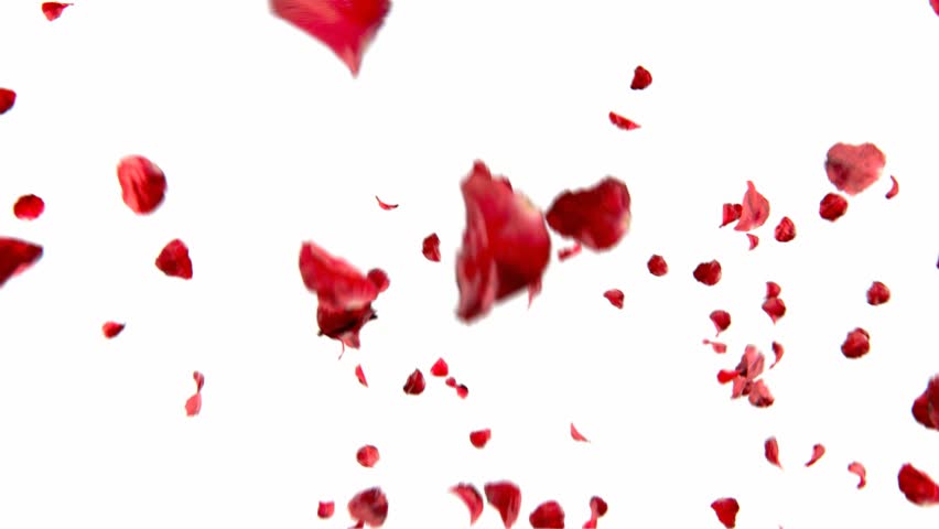 Animated Falling Flowers Gif