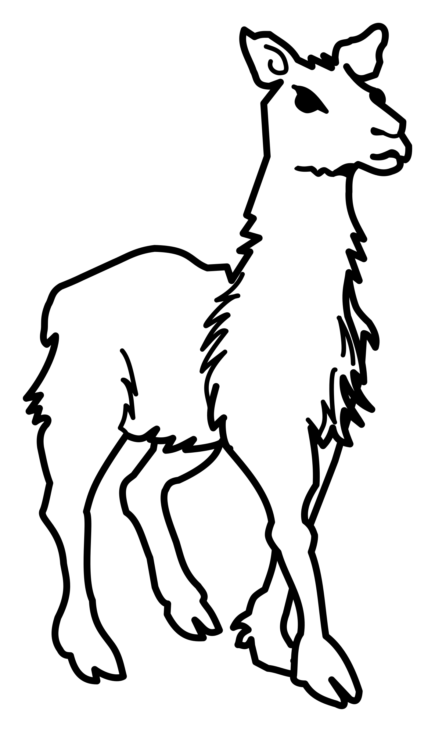 Lama Drawing - ClipArt Best