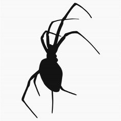 Brown recluse spider, Recluse spider and Spider - ClipArt Best ...