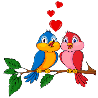 Love Birds Animation