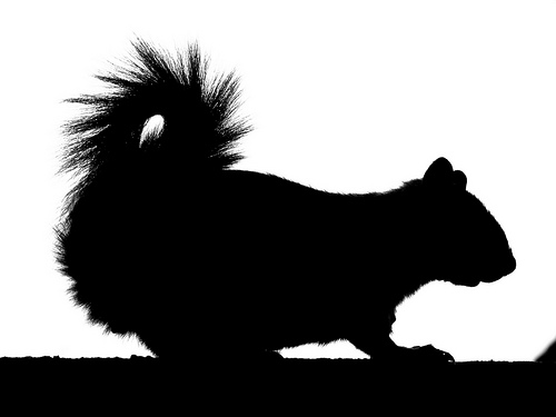 Flickriver: kintired's photos tagged with silhouette - ClipArt Best ...