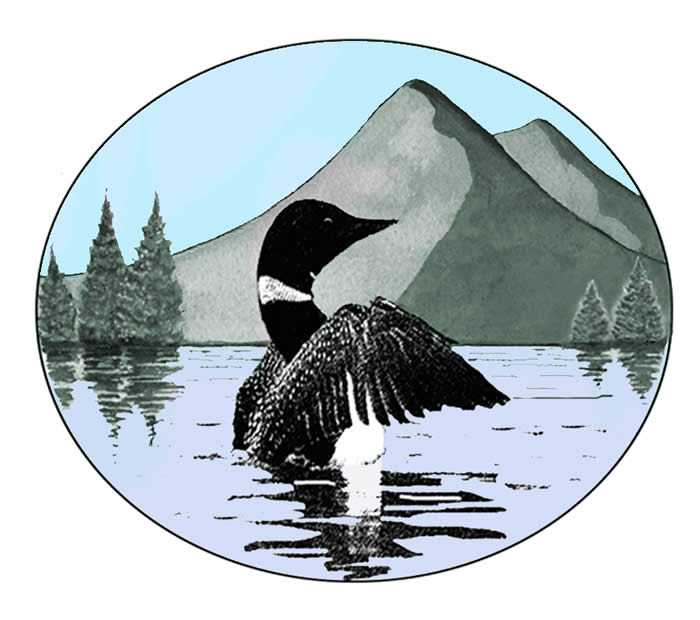 Loon Drawings - ClipArt Best