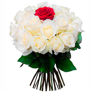 Bunch of 24 white and 1 red rose Flowers - ClipArt Best - ClipArt Best