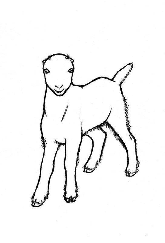 Goat Drawings - Rubystar Dairy Goats - ClipArt Best - ClipArt Best