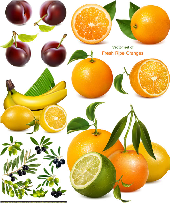 Fruits | Vector Graphics Blog - ClipArt Best - ClipArt Best