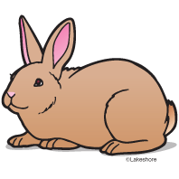 Rabbit clipart images - ClipArt Best - ClipArt Best