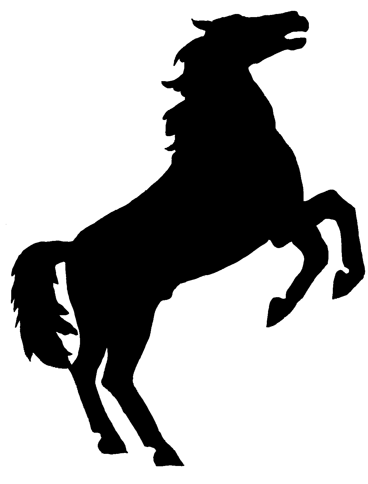 Broncos Horse Png
