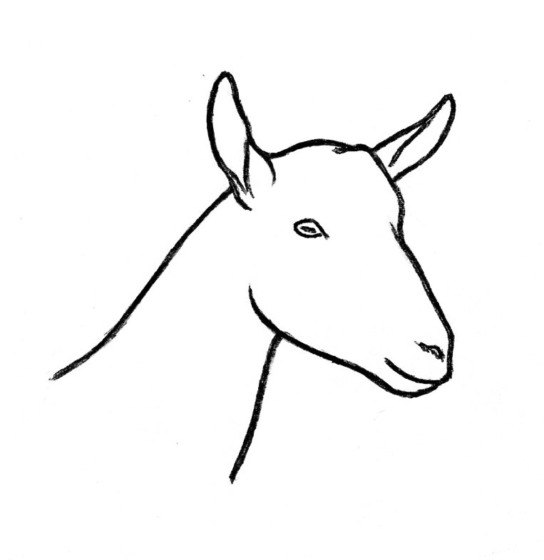 Goat Drawings - Rubystar Dairy Goats - ClipArt Best - ClipArt Best