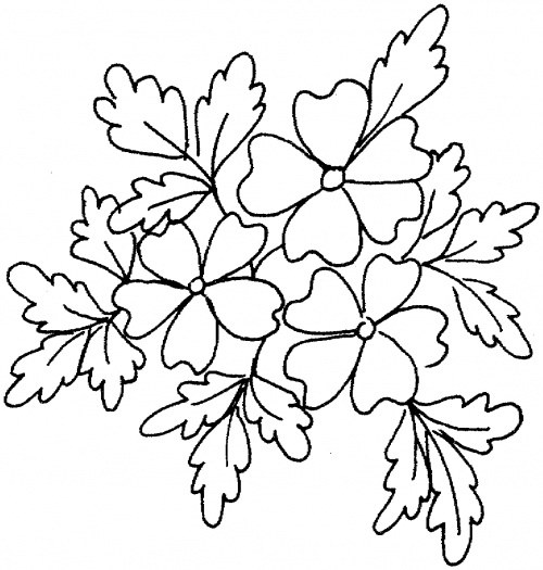 Dogwood Tree Flower Coloring Pages Sketch Coloring Page