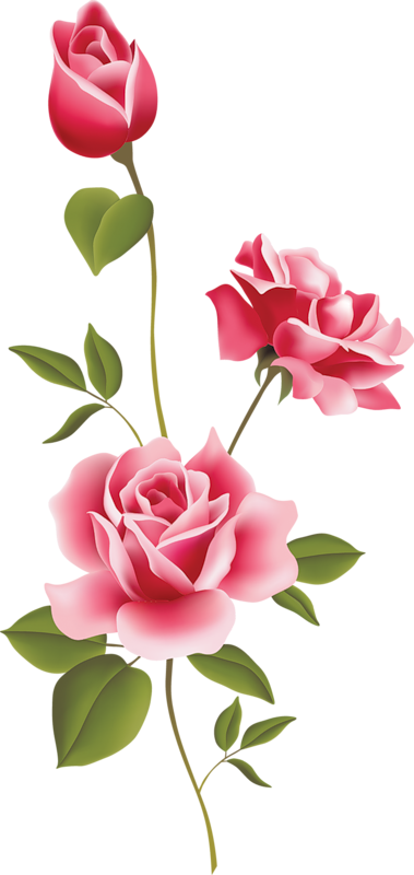 Rose Art Images - ClipArt Best - ClipArt Best