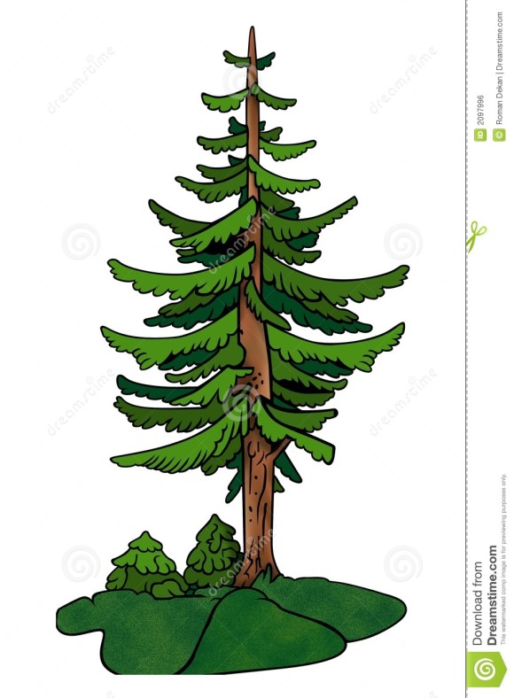 Redwood Tree Clip Art - ClipArt Best