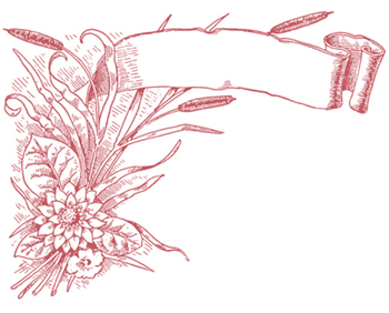 Scroll border clip art free - ClipArt Best - ClipArt Best