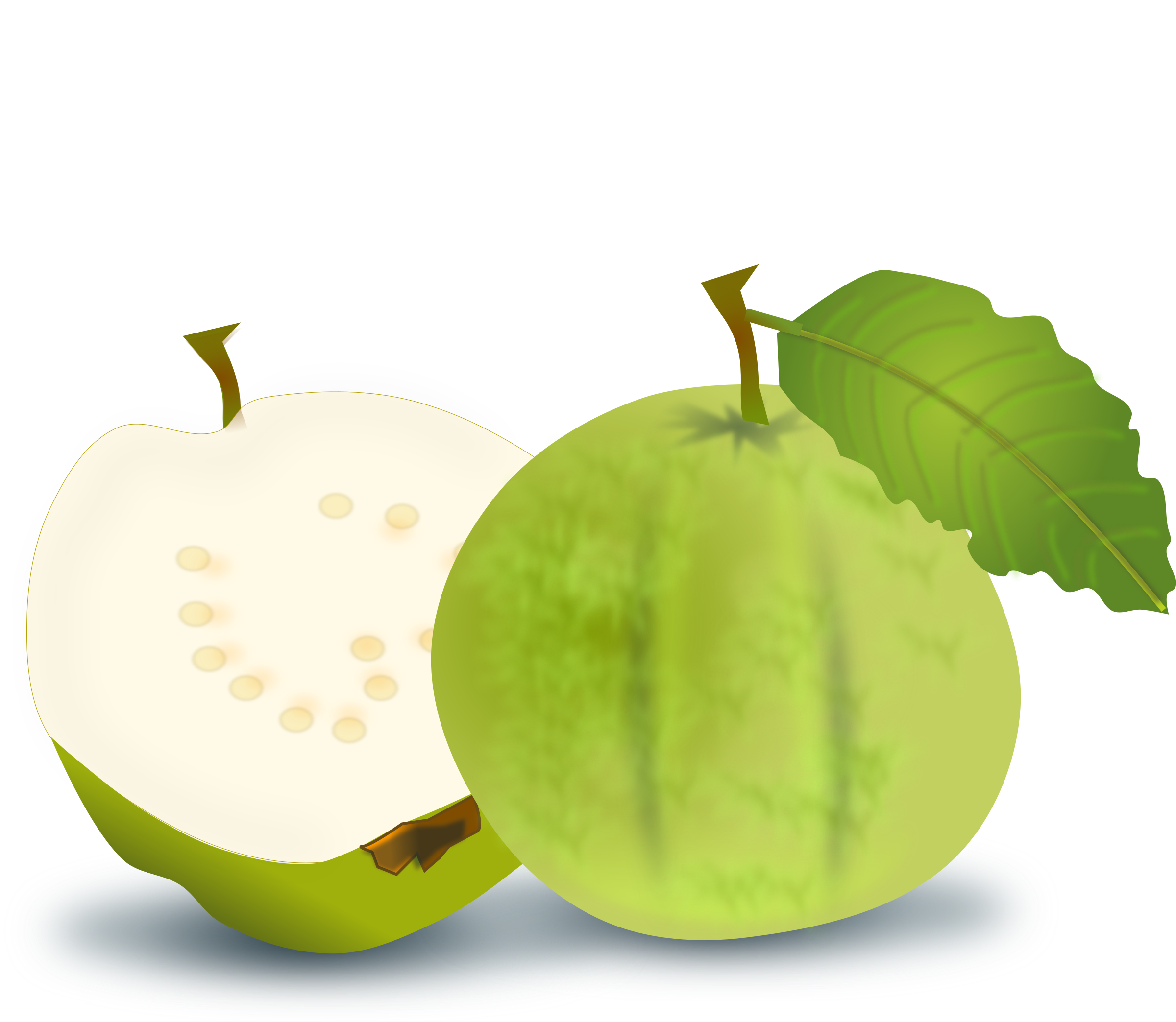 Clipart - Guava - ClipArt Best - ClipArt Best