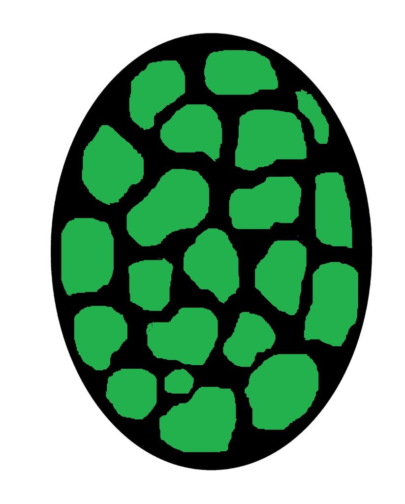 Ninja Turtle Shell Texture