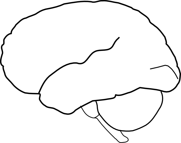 Brain Template Printable