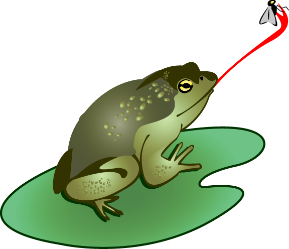 Frog eating fly clipart - ClipartFox - ClipArt Best - ClipArt Best