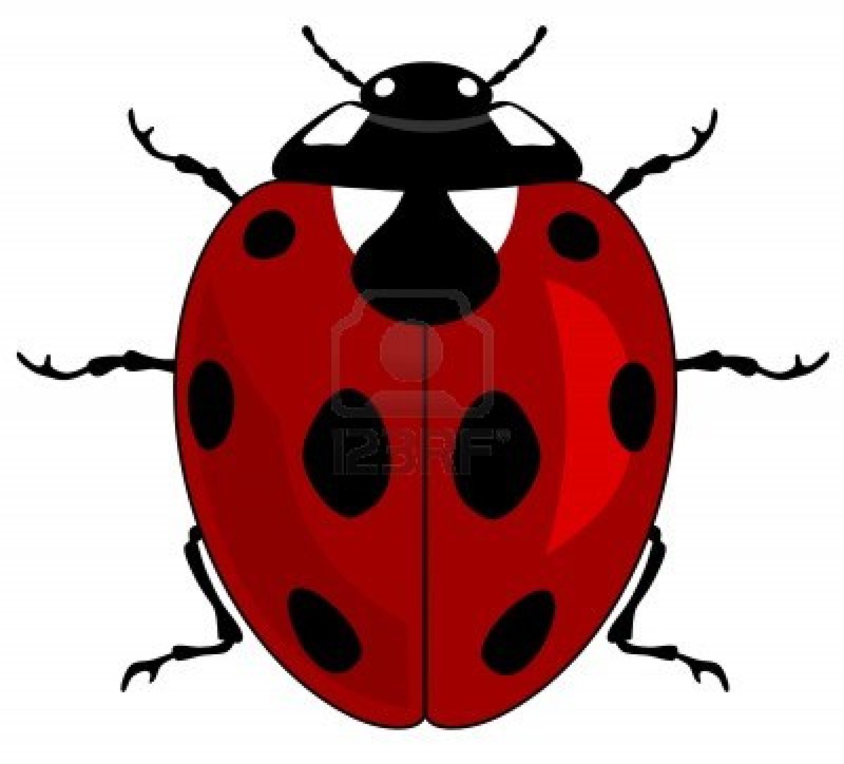 Cartoon Lady Bird - ClipArt Best