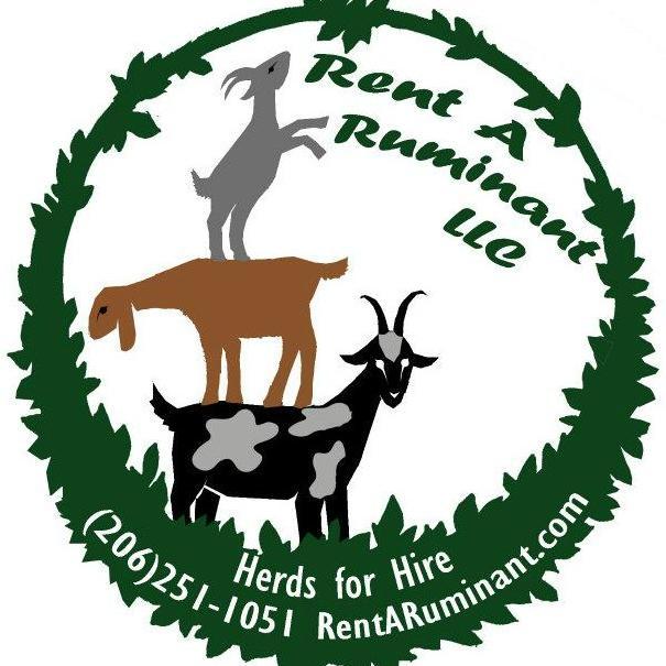 Heart Of A Ruminant Animal - ClipArt Best