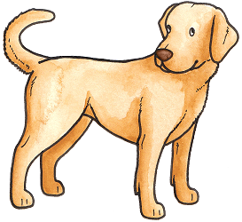 Yellow Lab - ClipArt Best